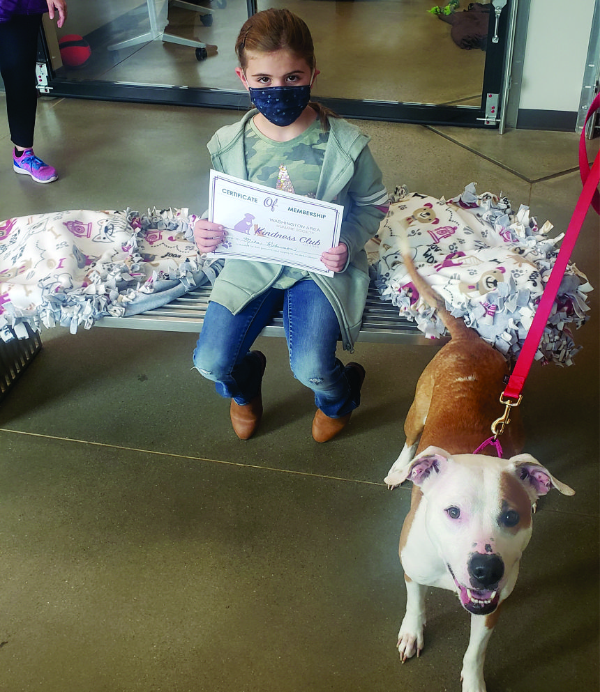 PROJECT IDEAS - Washington Area Humane Society